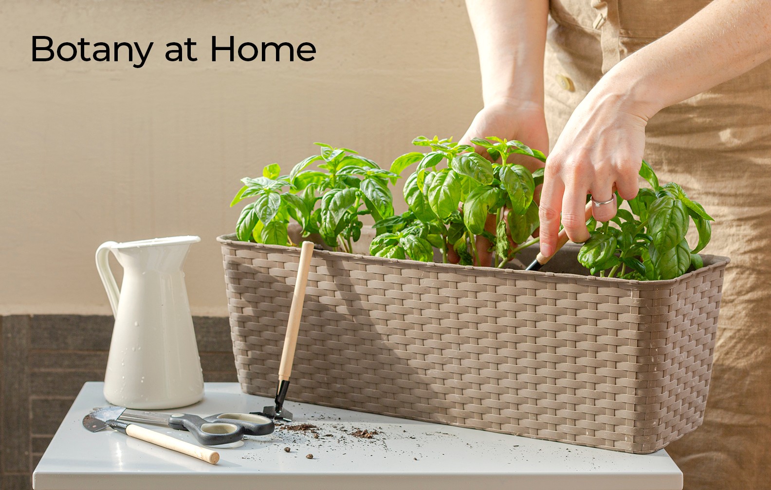 Online supermarket eBag.bg - Shop